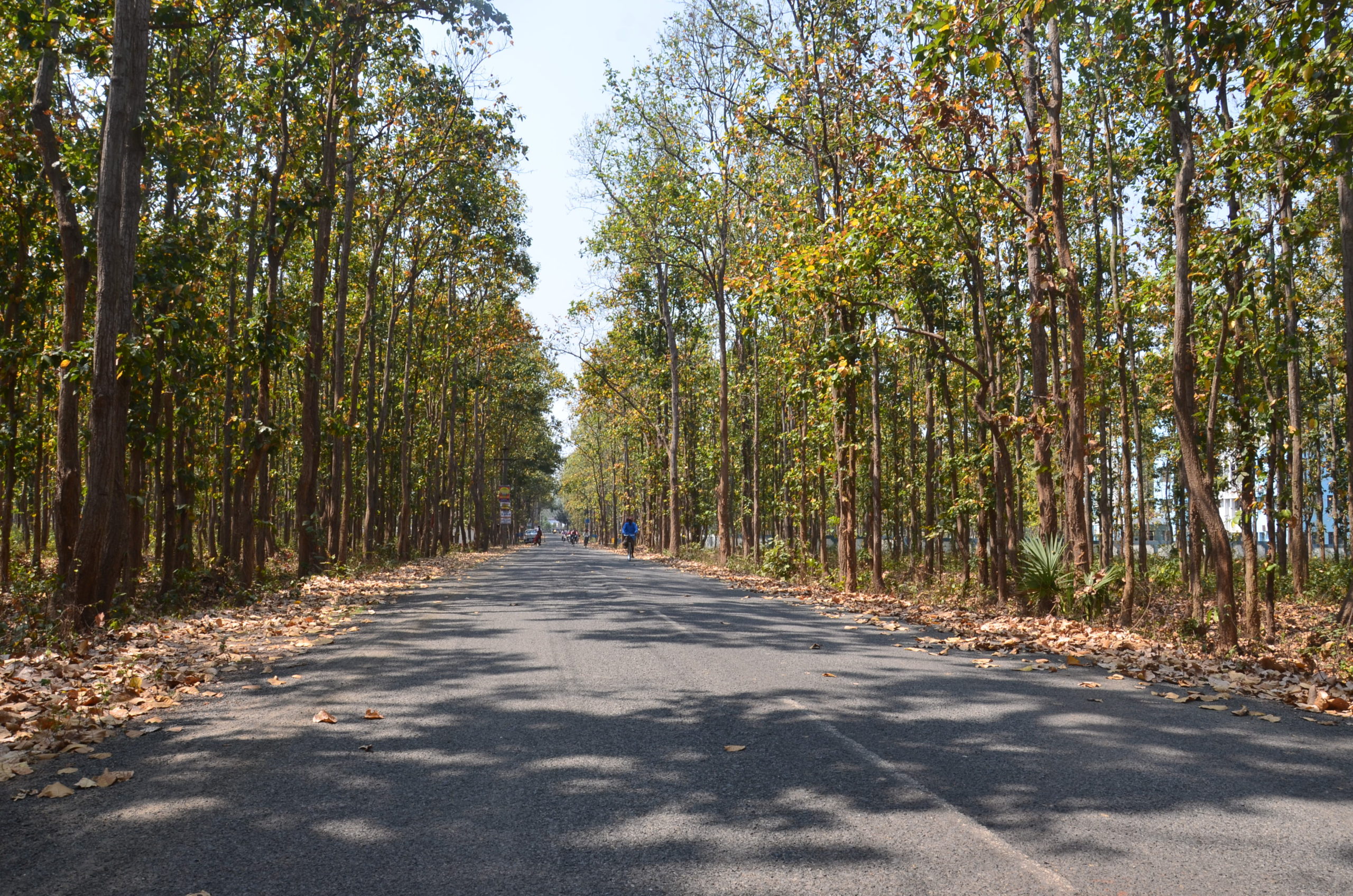Trip to Jhargram, Belpahari, Kankrajhor - Vibrant Footsteps